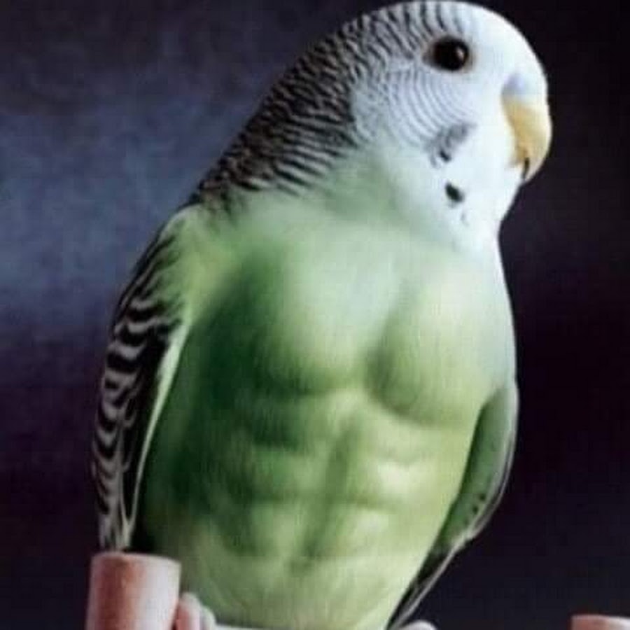 Zxcvbnmöç - YouTube