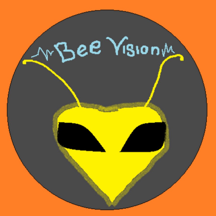 Bee Vision - YouTube