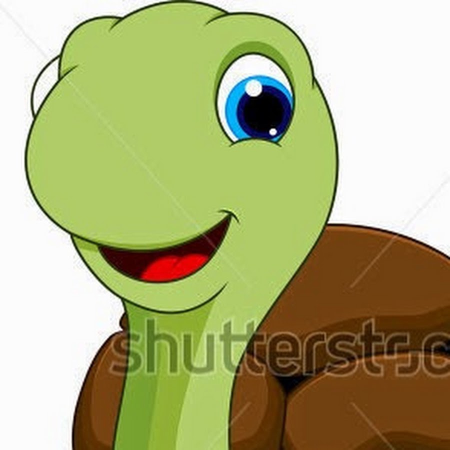 Mr. Turtle - YouTube