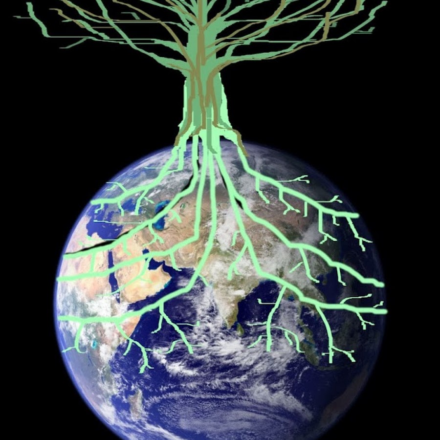 roots-and-routes-youtube
