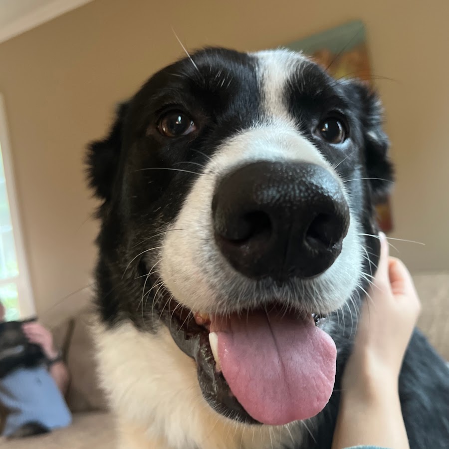 Community House Middle School - YouTube