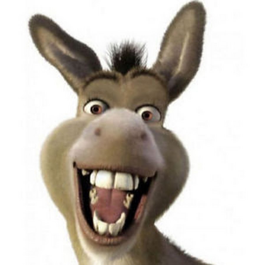 Gaming with Donkey - YouTube