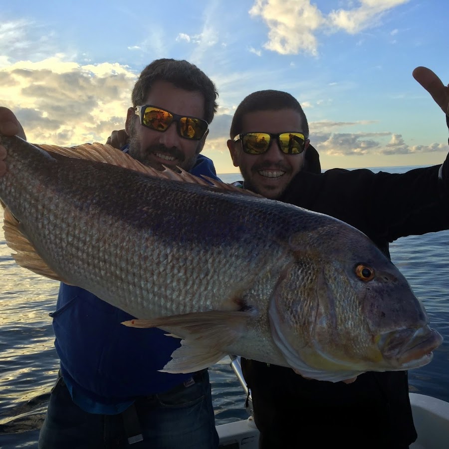 Killer Fish Adventure - YouTube