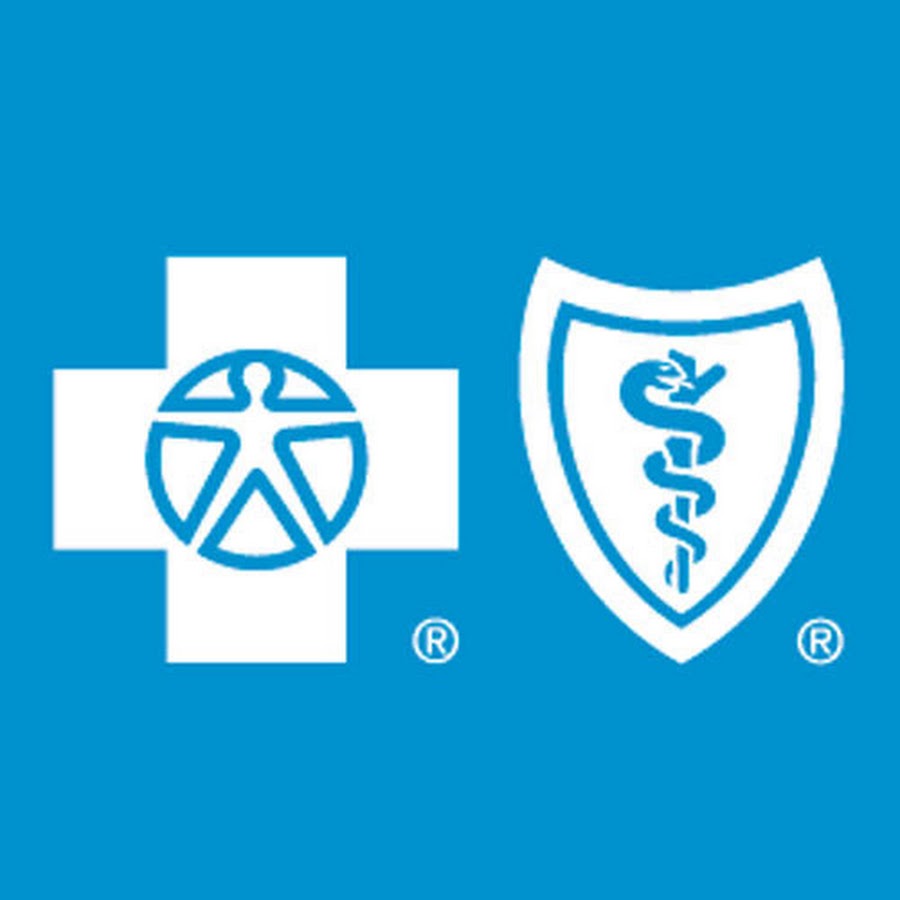 Blue Cross and Blue Shield of Minnesota Foundation - YouTube