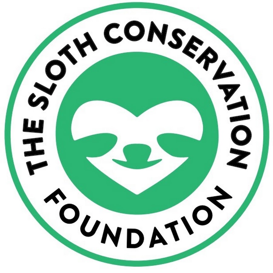 The Sloth Conservation Foundation - YouTube