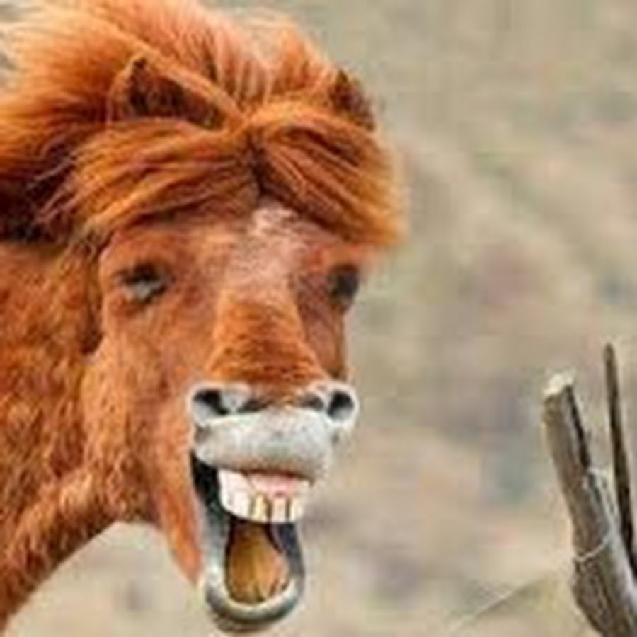 Christian Clay - YouTube