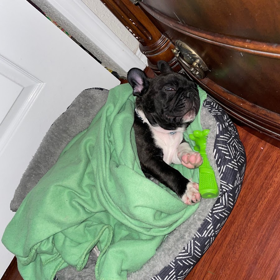 LIL NIGLET - YouTube