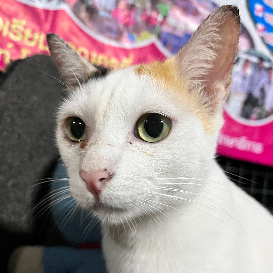 POWER gamer - YouTube