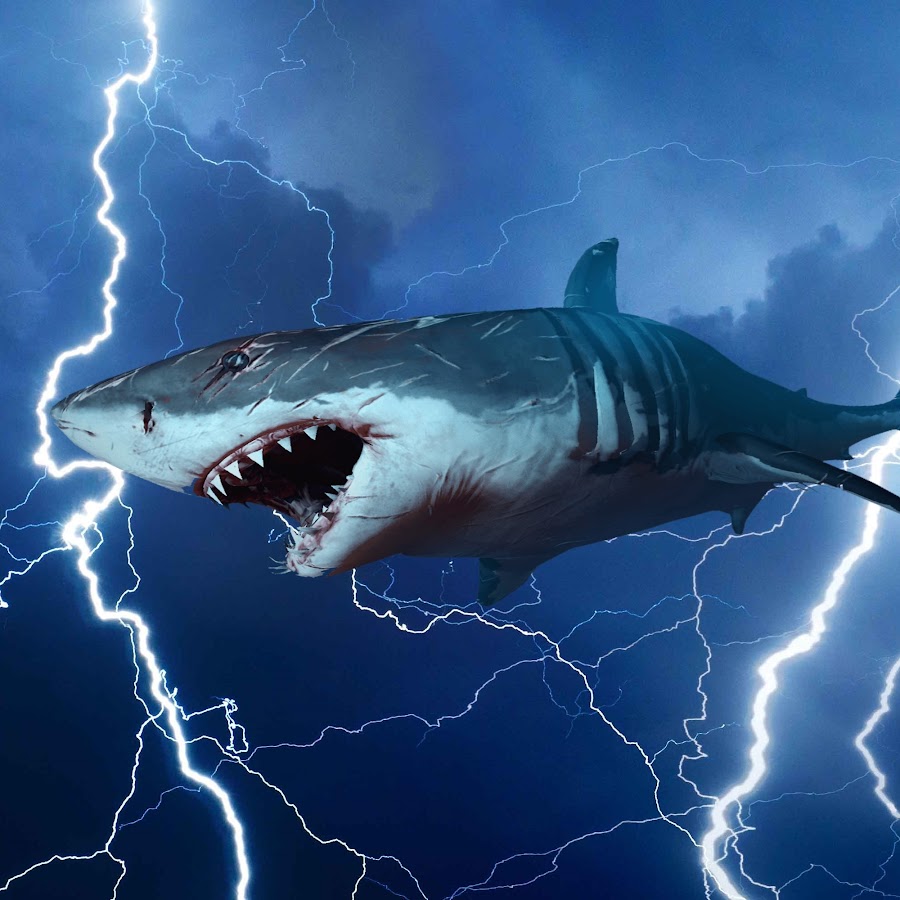 Lightningshark Gaming - YouTube