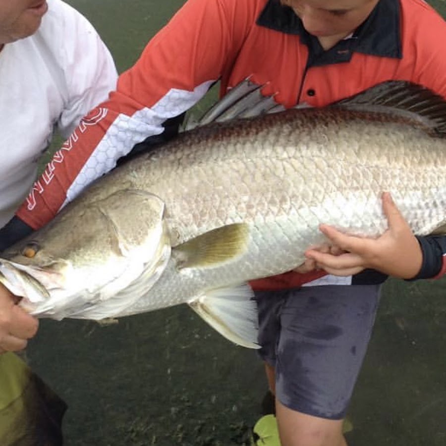 Cheyne Darcy’s Fishing - YouTube