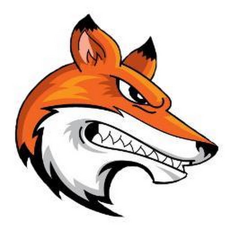 Gamer Fox - YouTube