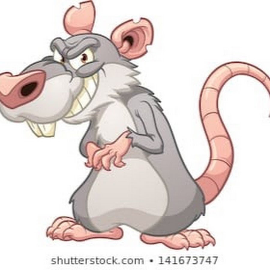 Crack Rat Prod. - YouTube