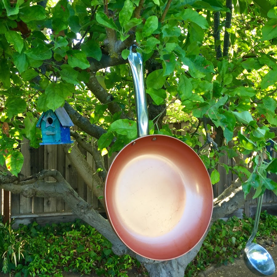 The Cooking Tree - YouTube