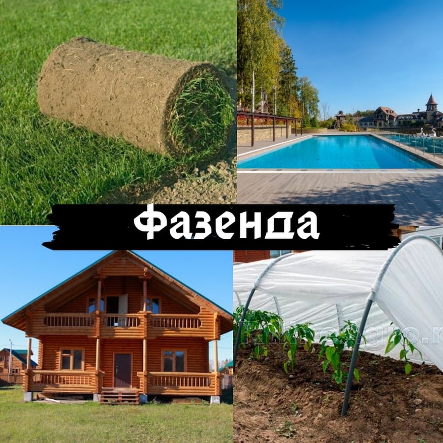Фазенда - YouTube