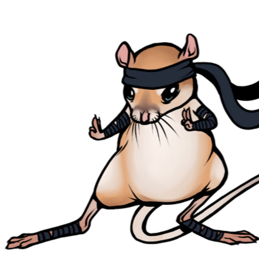 Ninja Rat - YouTube