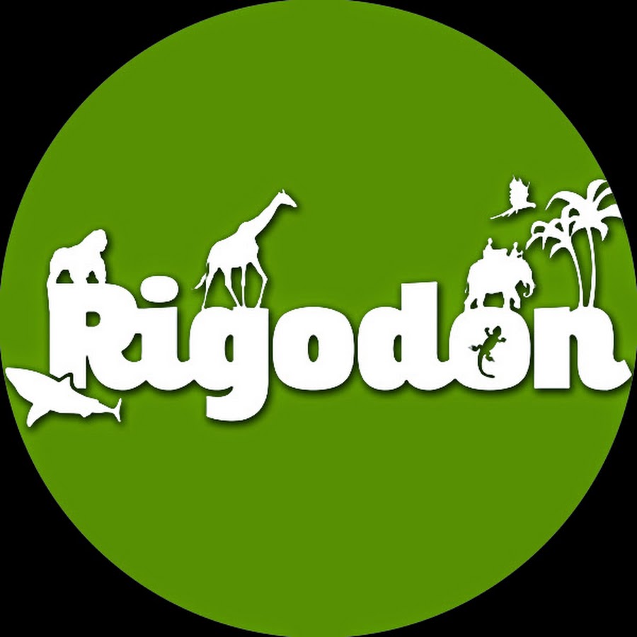 Rigodon Tour - YouTube