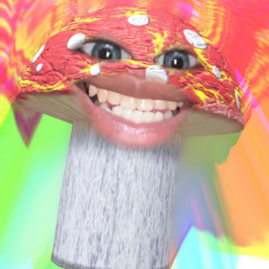 Jimothy Films - YouTube