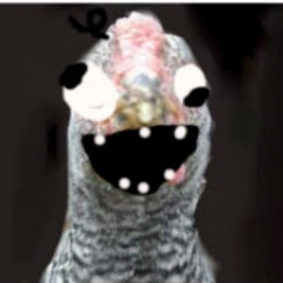 The Derpy Chicken - YouTube