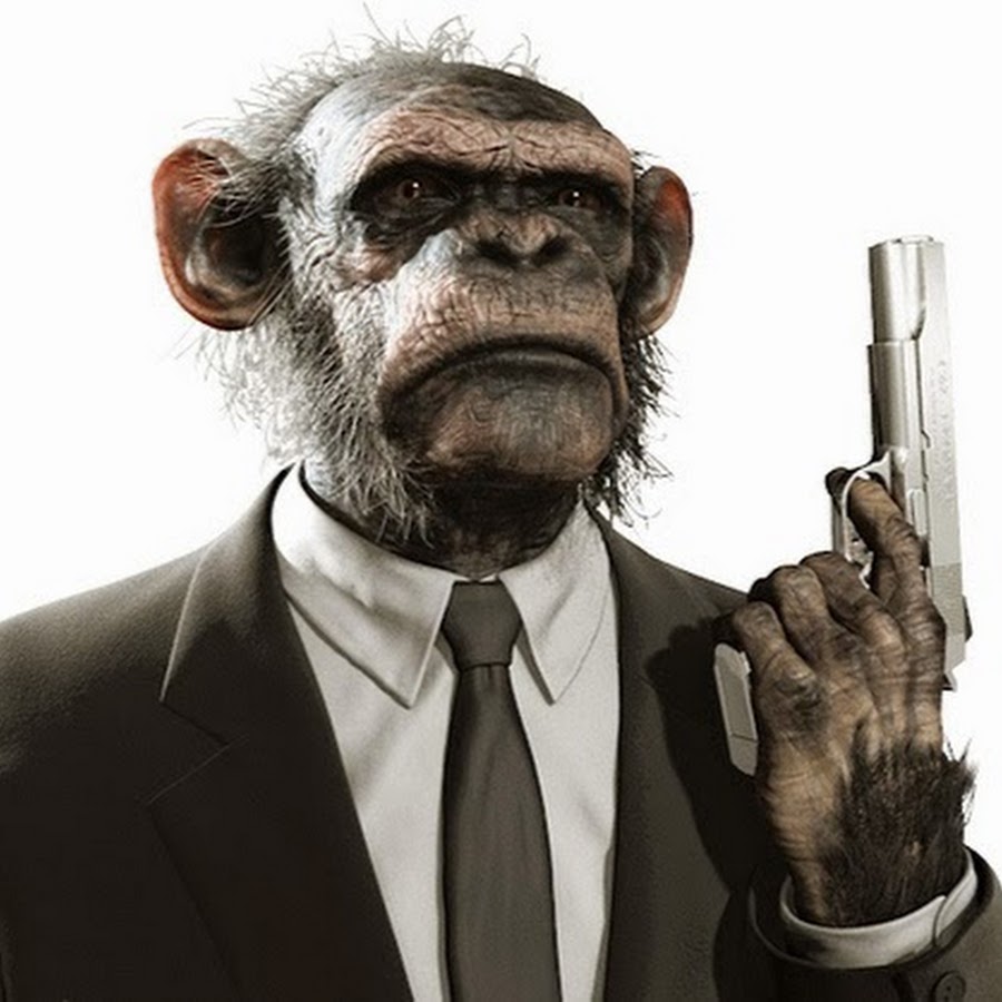 Assassin Monkey - YouTube