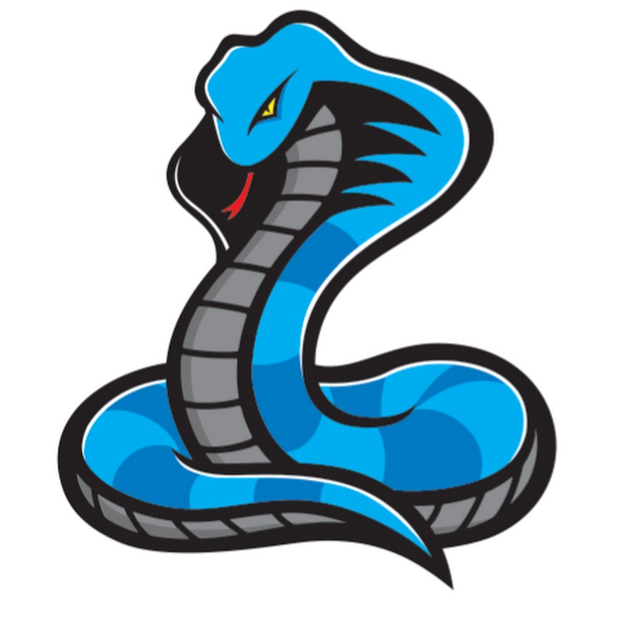 Drake The Snake 2 - YouTube