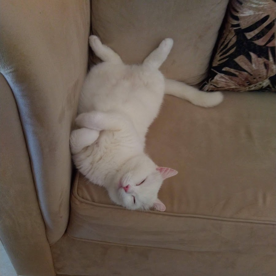 OMG CREATIVENESS !!!!!! - YouTube