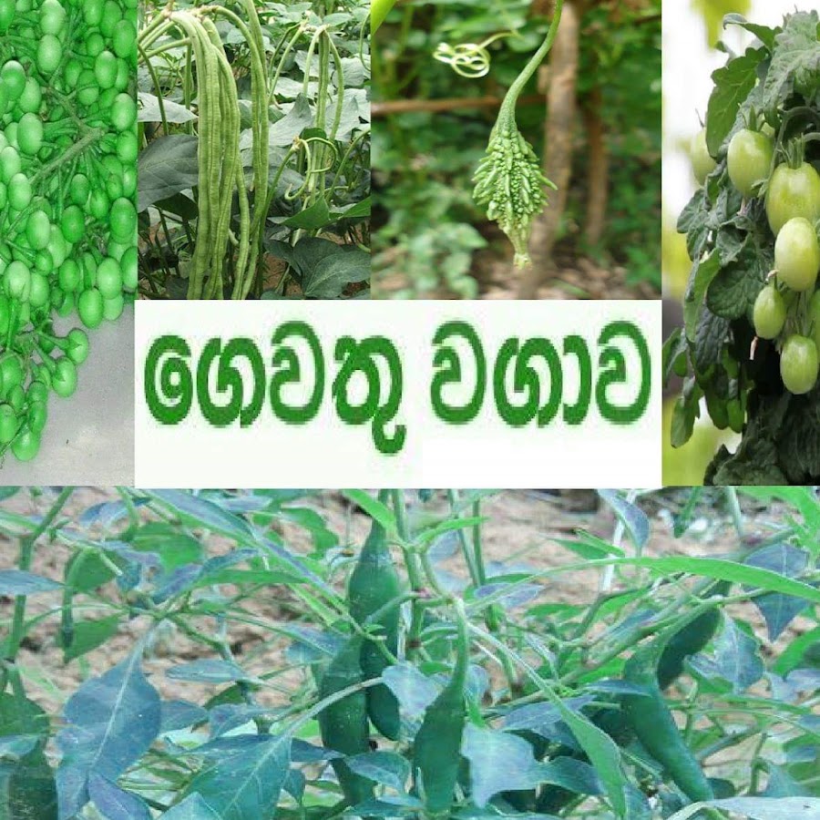 Gewathu Wagawa - YouTube