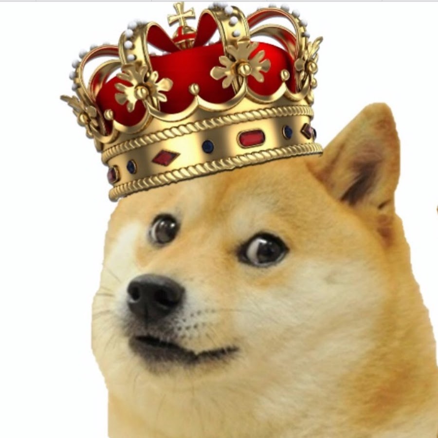 The great Doge master - YouTube