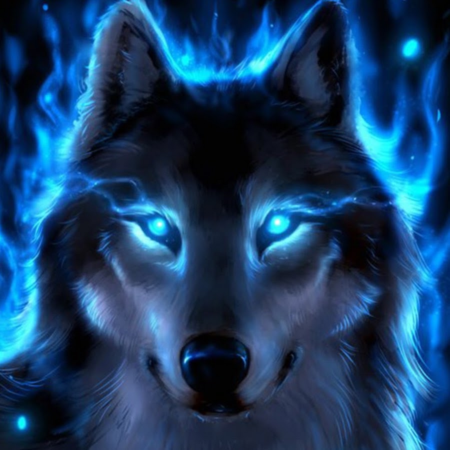 Blue Wolf - YouTube