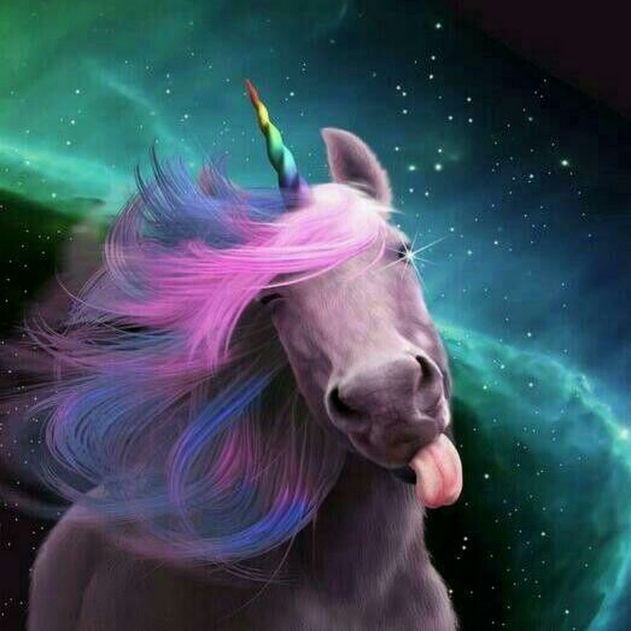 Licorne rose Licorne violette - YouTube