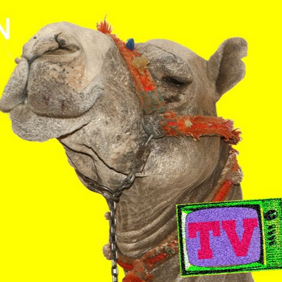 RAKUDA TV by Silkroad Cafe - YouTube