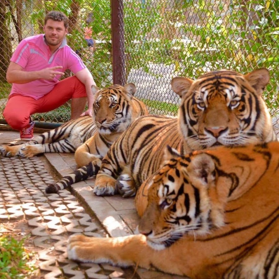 Tigerman The Adventures - YouTube