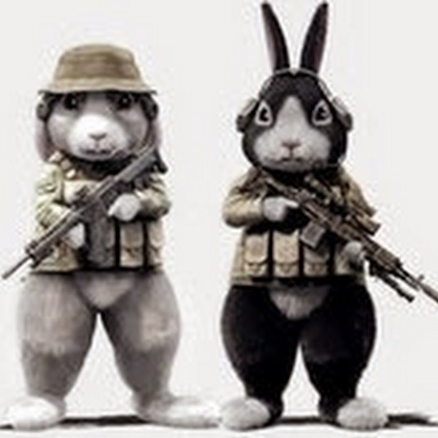 Tactical Bunny - YouTube