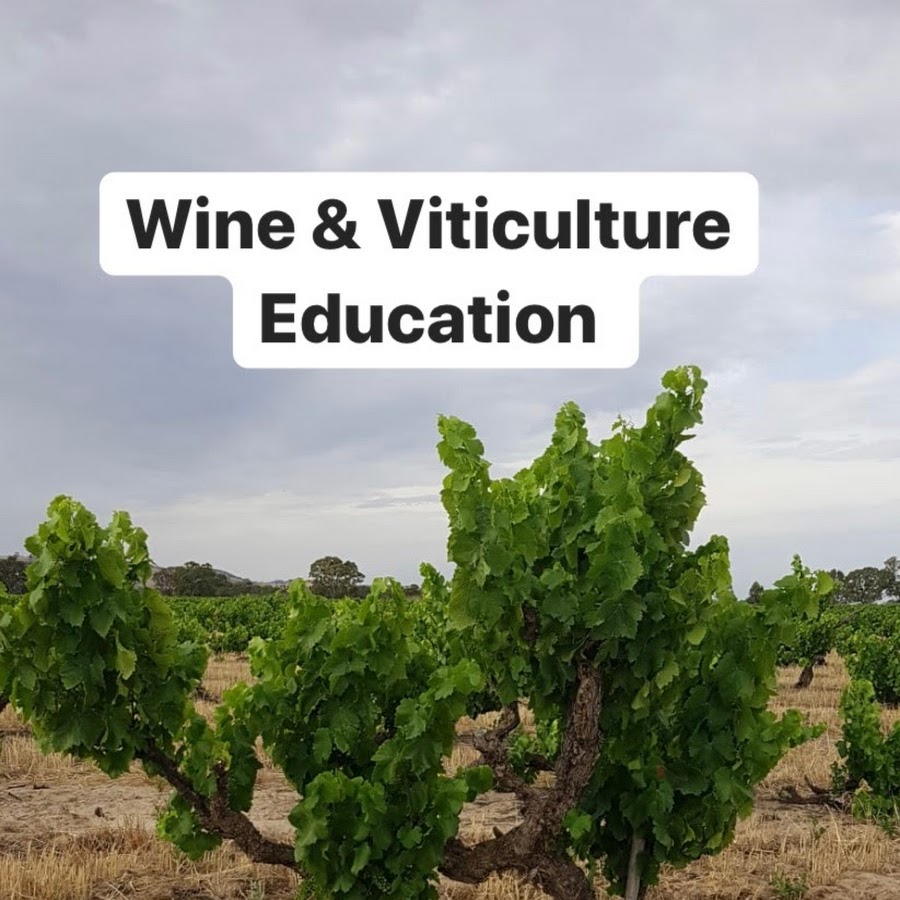 Wine & Viticulture Education - YouTube