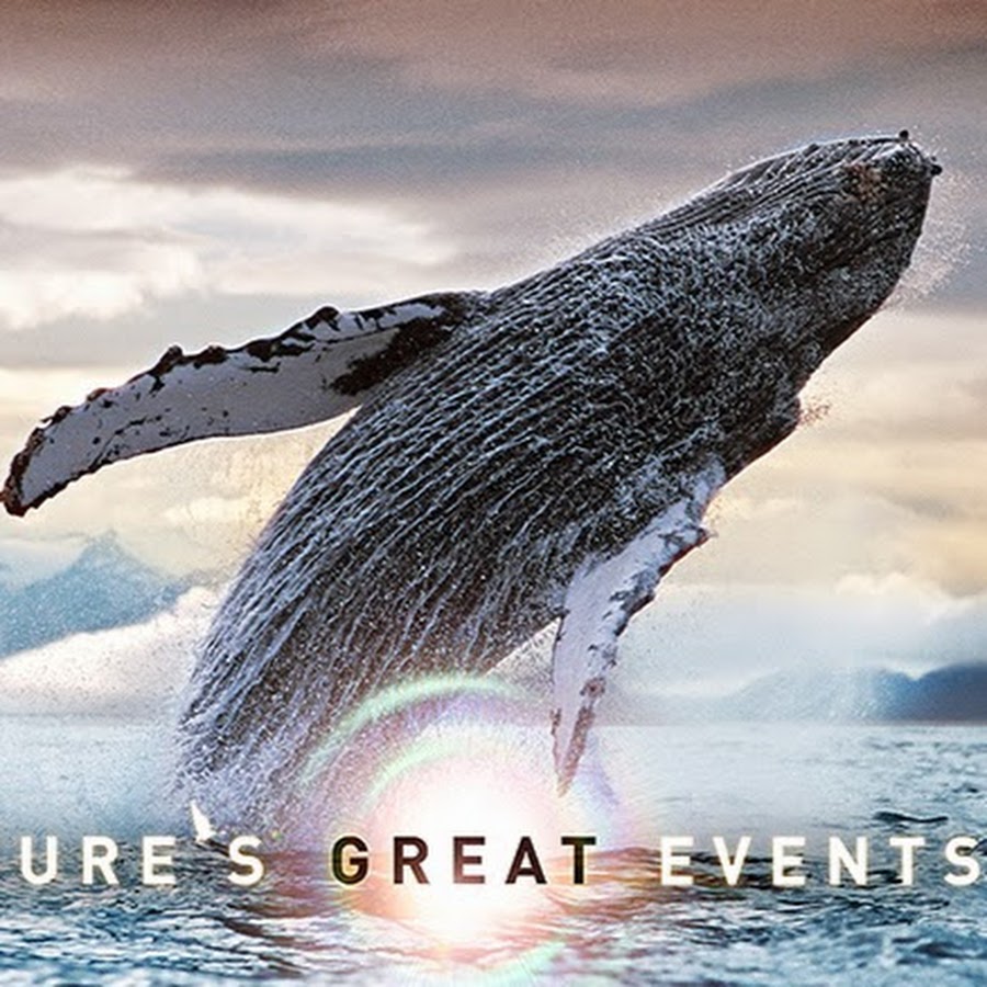 BBC Nature's Great Events - YouTube