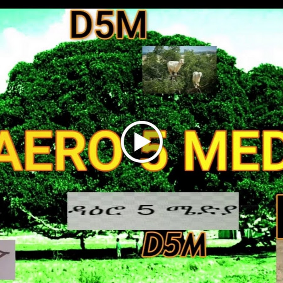 DAERO 5 MEDIA - YouTube