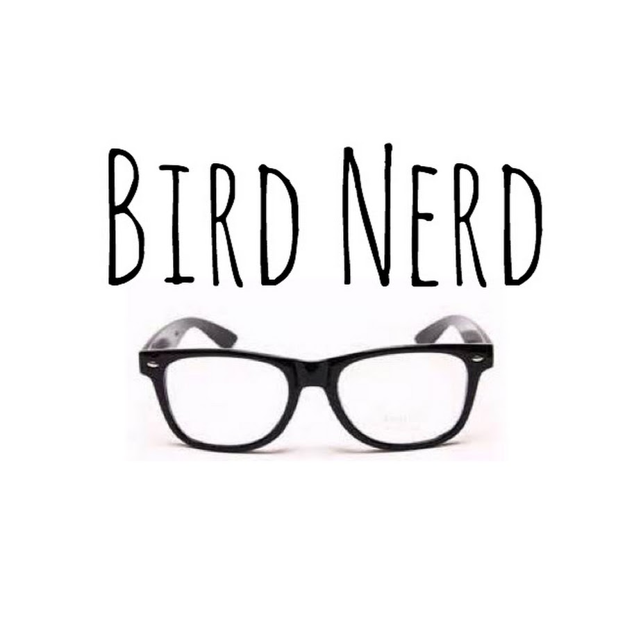 Bird Nerd - YouTube