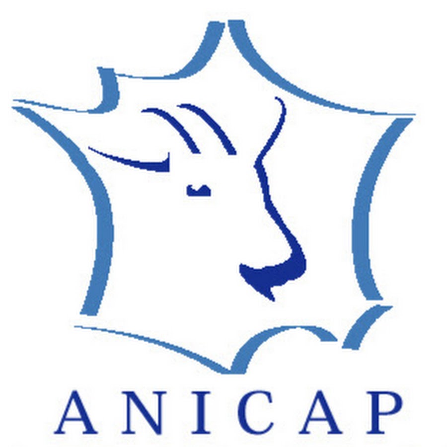 ANICAP - YouTube