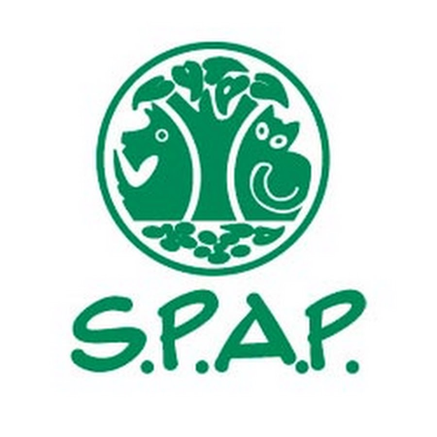 Spap (Sociedad Protectora de Animales y Plantas de Madrid) - YouTube