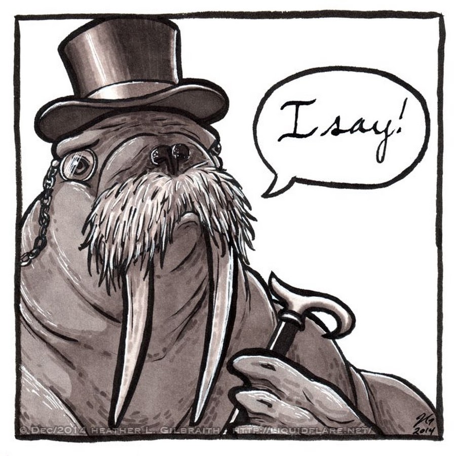 Mr. Walrus - YouTube