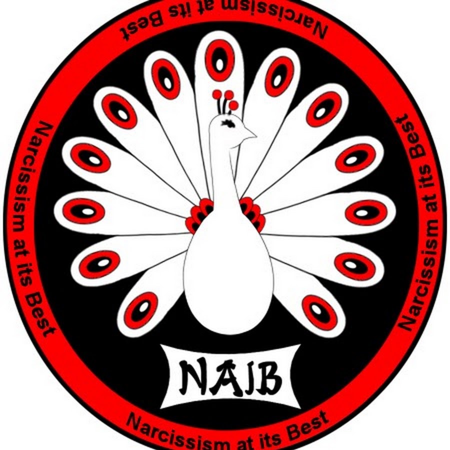 Official NAIB - YouTube
