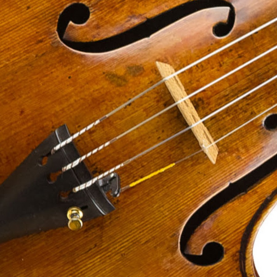 Bruno Basset - YouTube