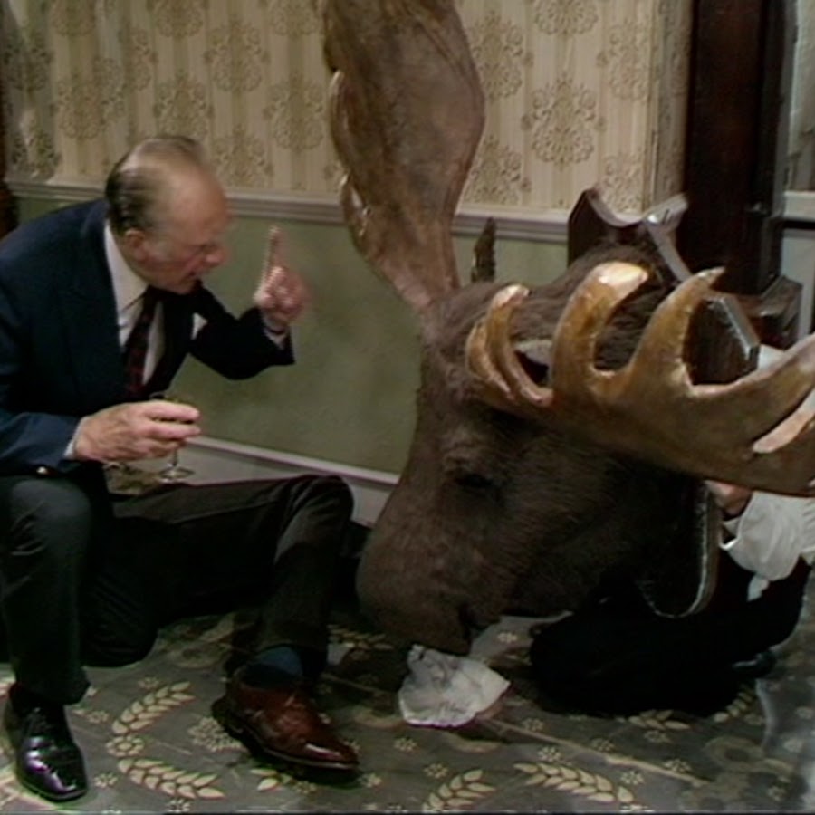 Naughty Moose - YouTube