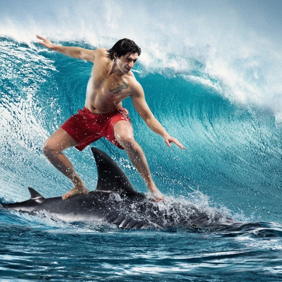 Shark rider - YouTube