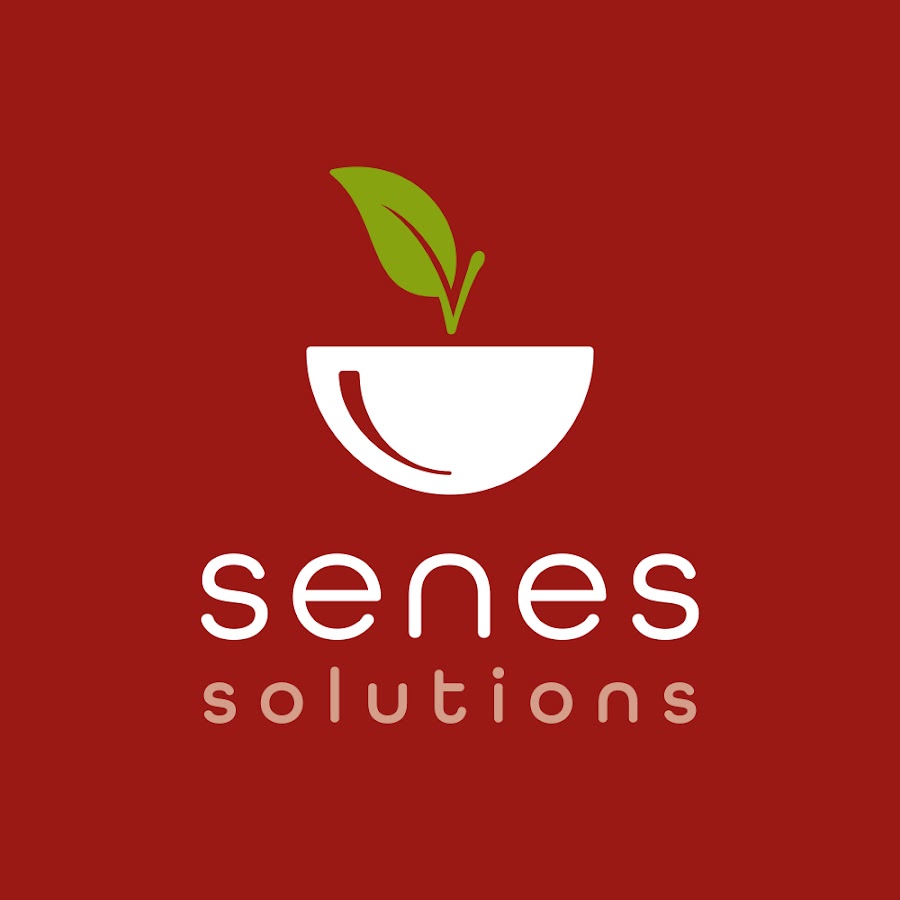 SENES solution - YouTube