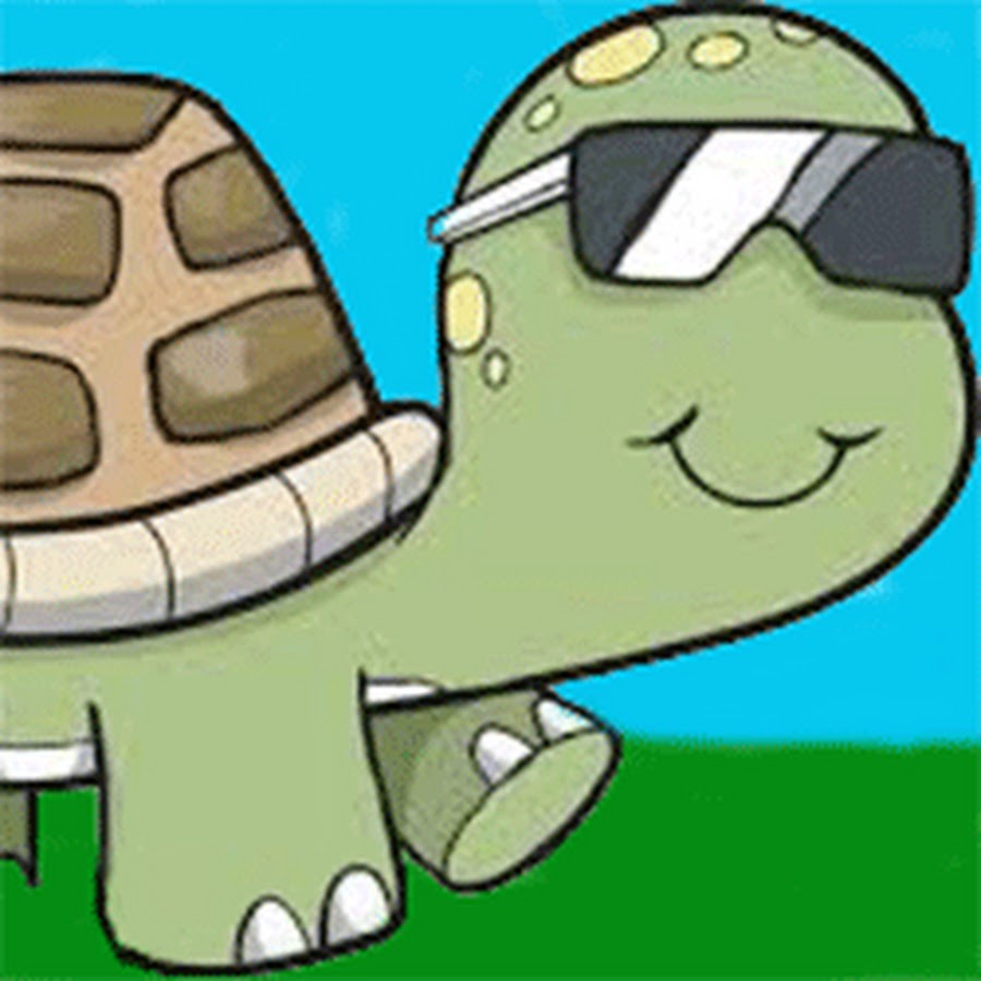 Mr. Turtle Man - YouTube