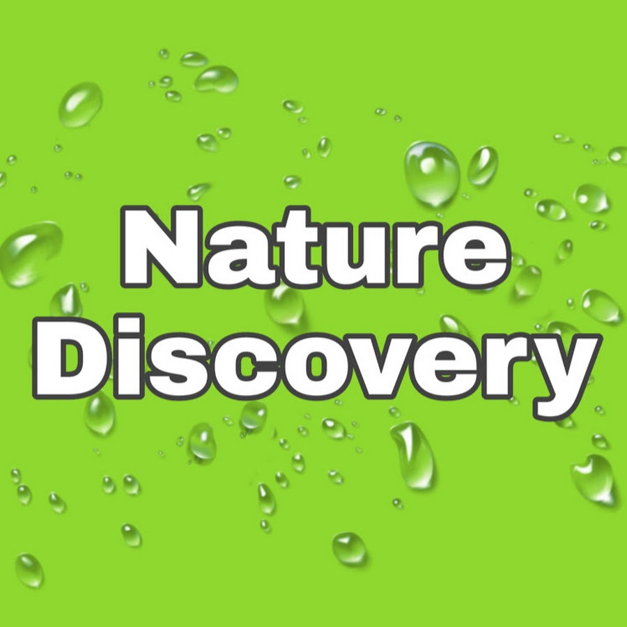 Nature Discovery - YouTube