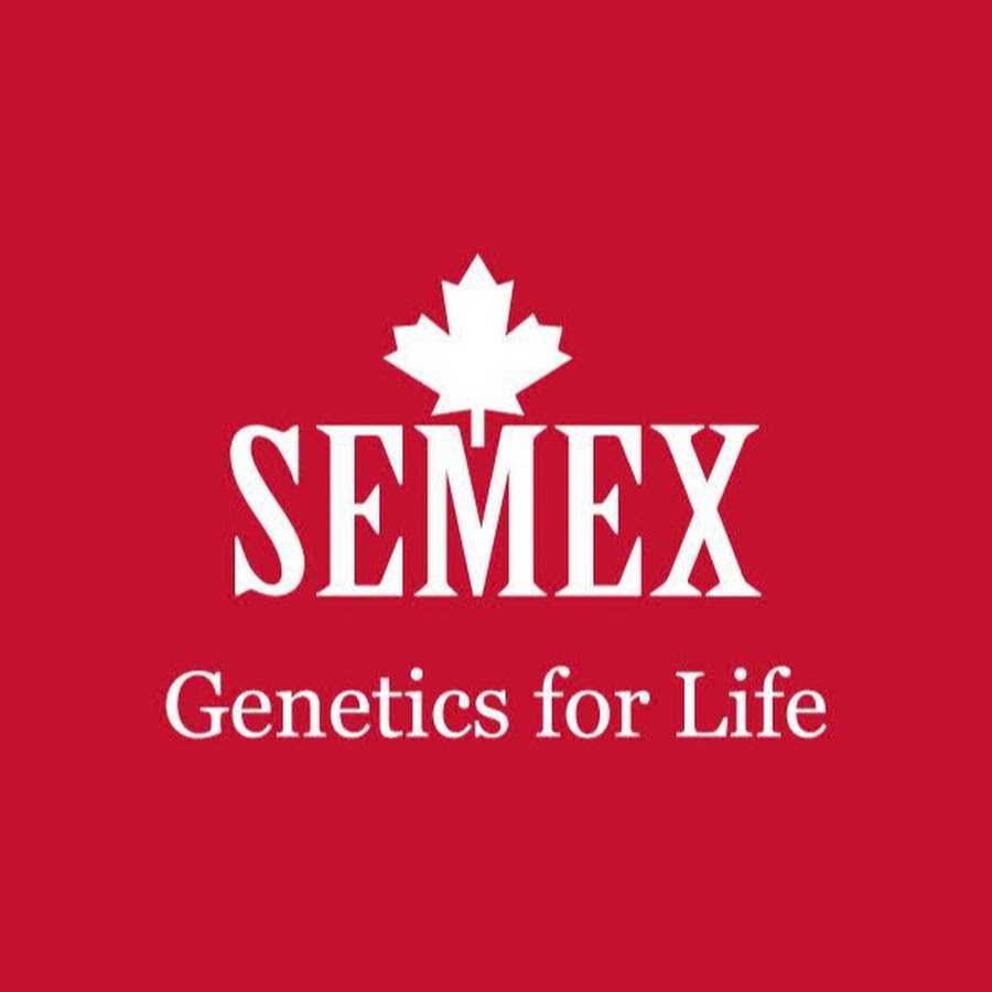 Semex Argentina - YouTube