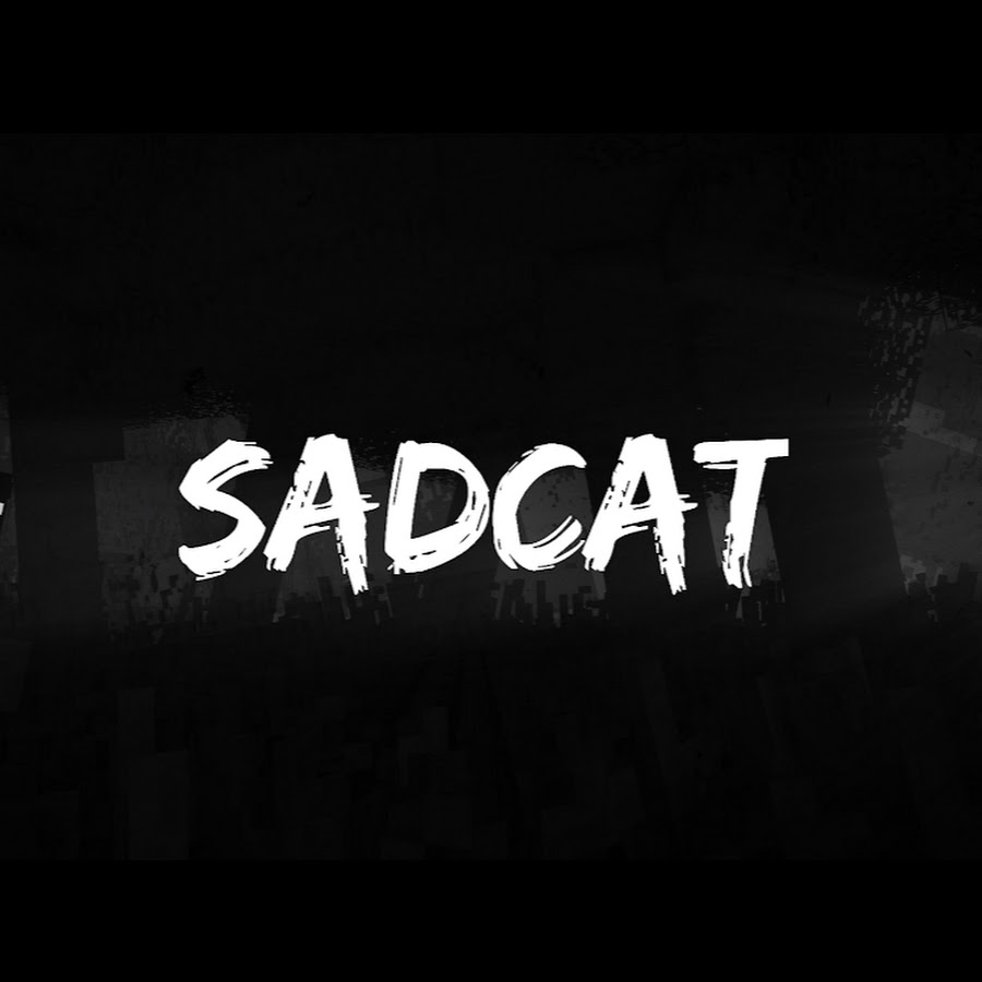 SadCat - YouTube