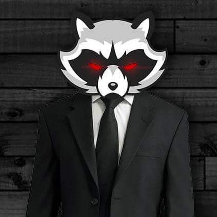 Rakun gamer - YouTube