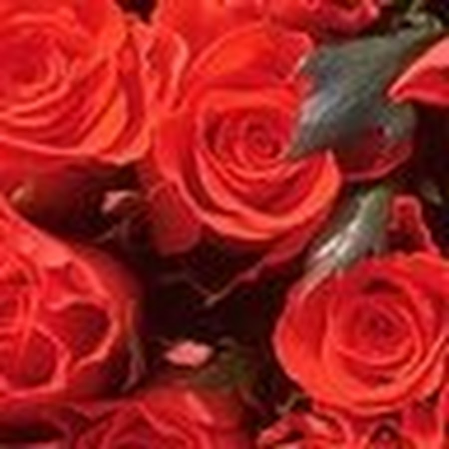 Bharathi Patnala - YouTube